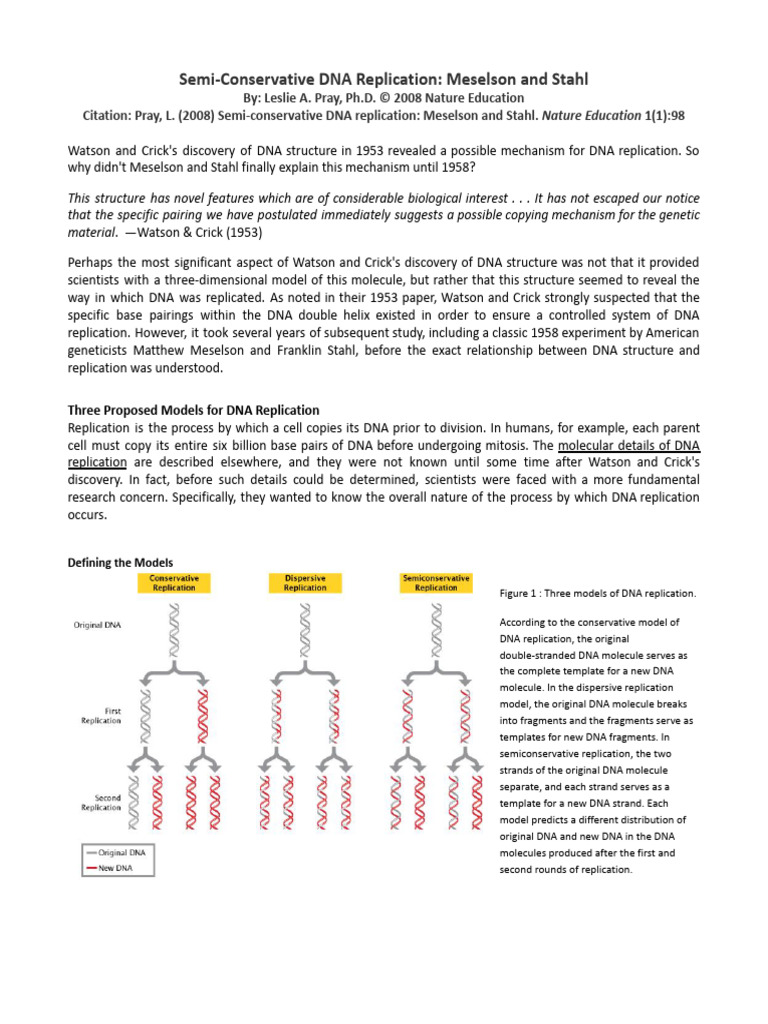 Meselson and Stahl Experiment | PDF