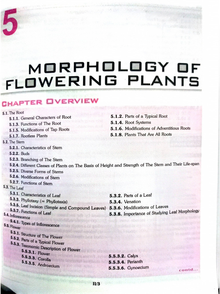 Pradeep Bio CH 5 Morphology of Flowering Plants | PDF