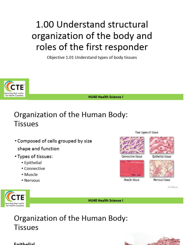 1.01 Types of Body Tissues | PDF