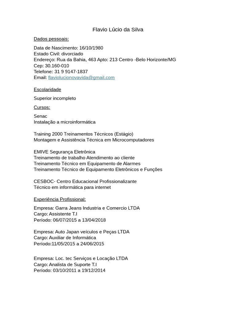 Flavio Lucio Da Silva - Currículo Portifólio | PDF | Negócios