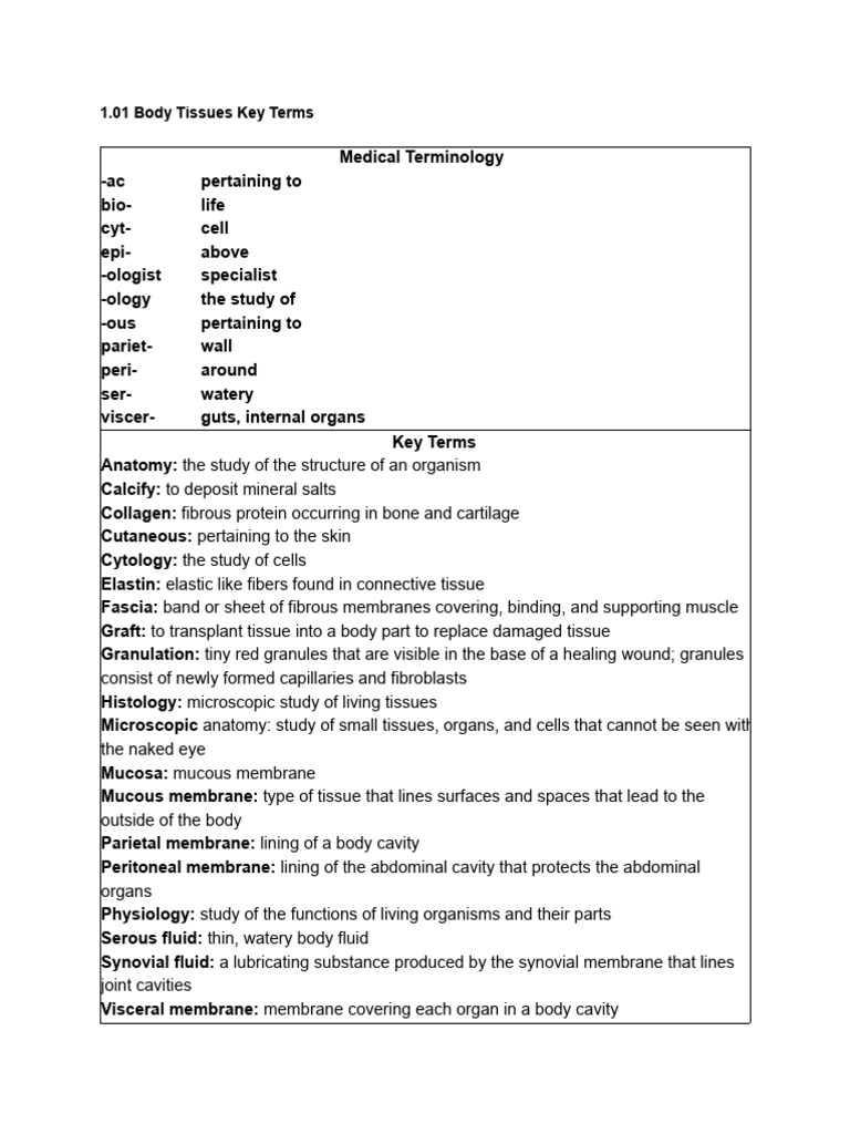 1.01 Key Terms | PDF