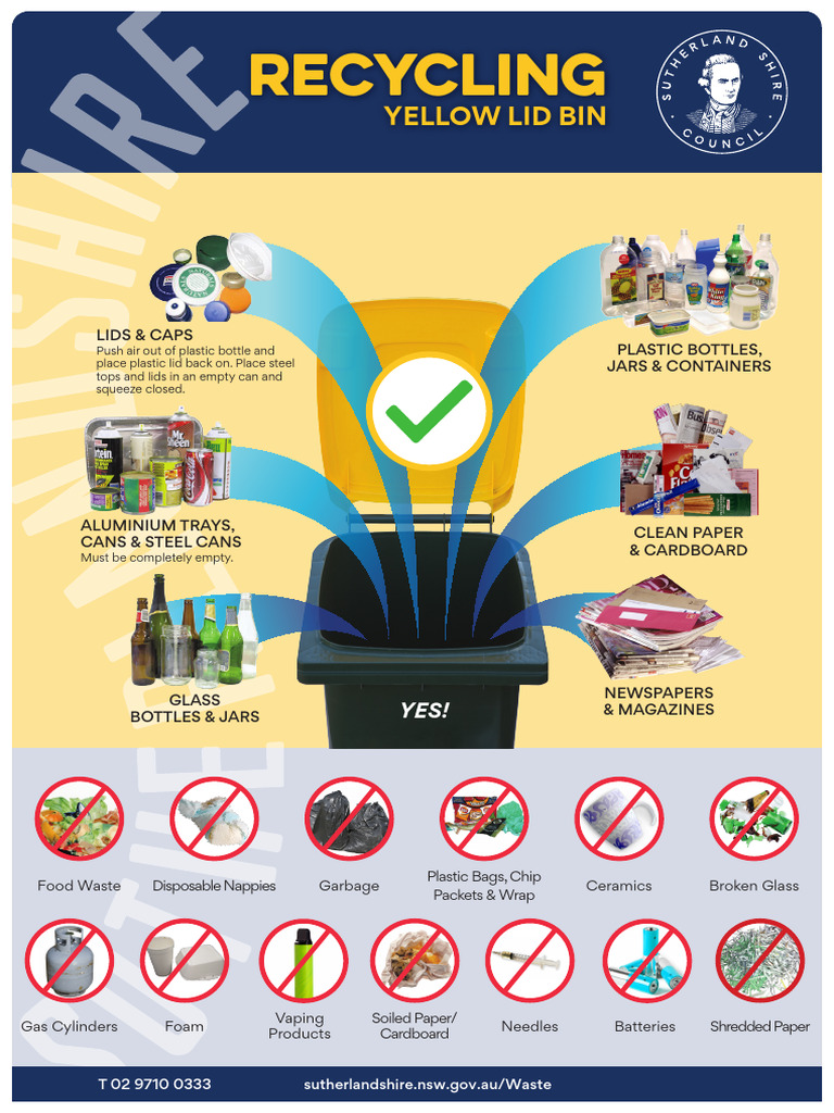 Yellow Bin Guide | PDF