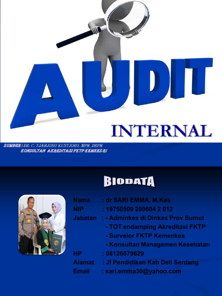 Audit Internal | PDF