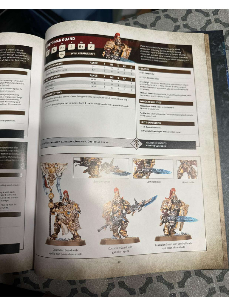 Custodian Guard Datasheet | PDF
