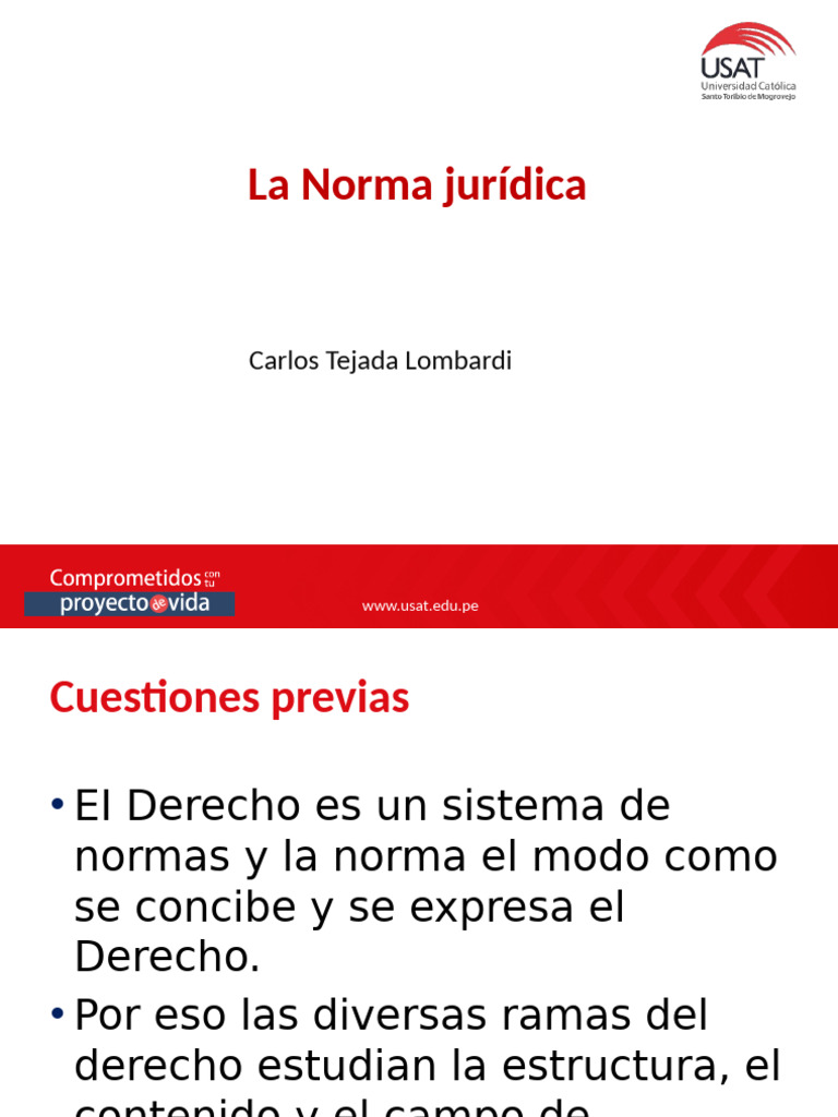 La Norma Jurídica: Carlos Tejada Lombardi | PDF