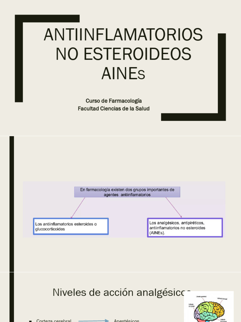 Antiinflamatorios No Esteroideos | PDF