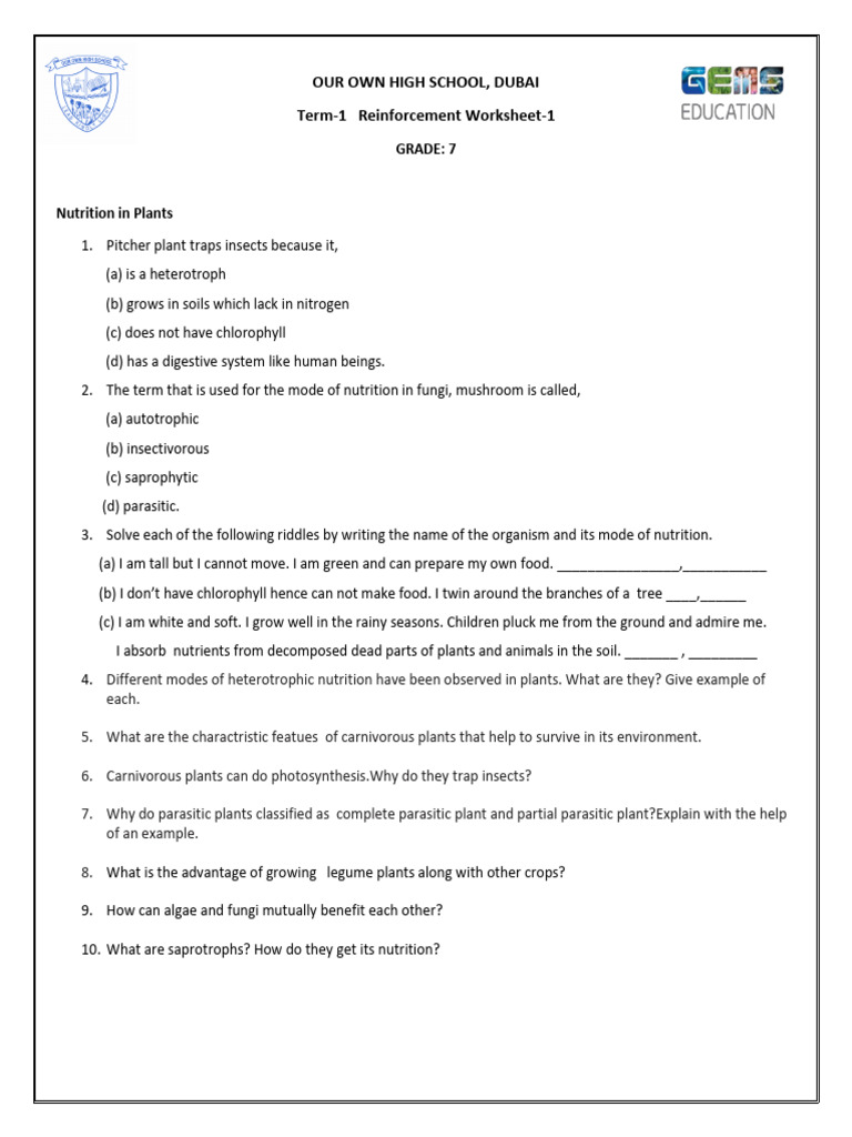 Term-1 Reinforcement Worksheet-1 | PDF