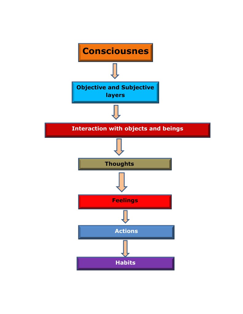 Process of Transformation | PDF