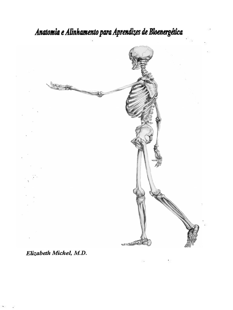 Elizabeth Michel - Anatomia e Alinhamento-Bent Out of Shape | PDF