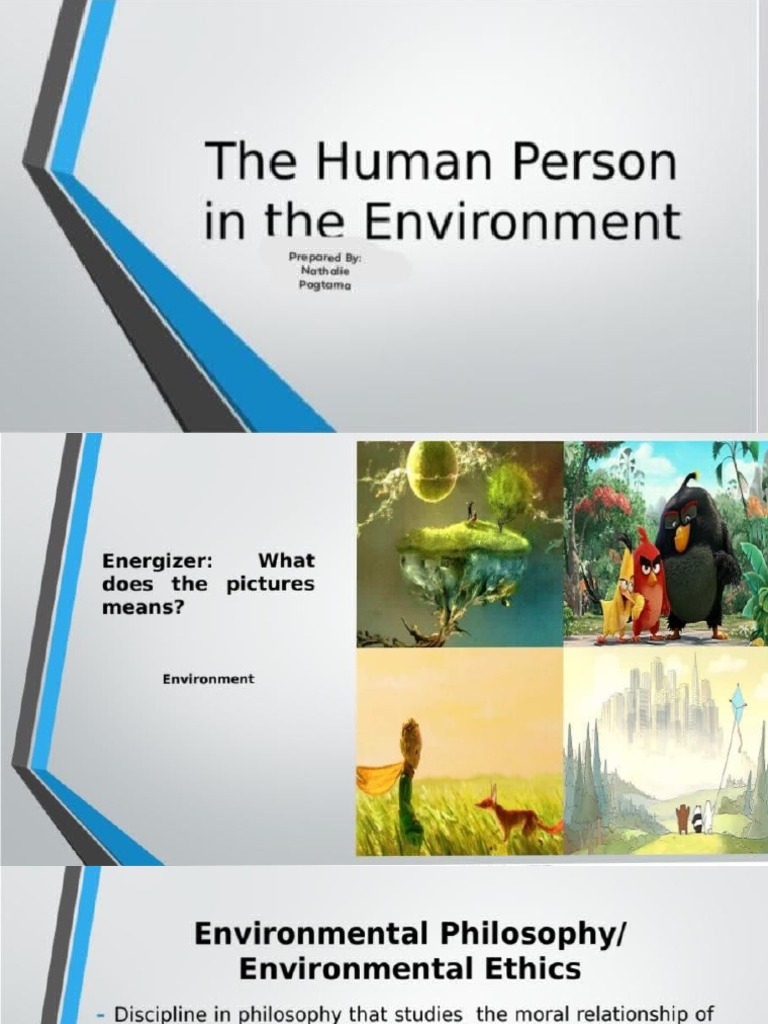 The Human Person in The Environment | PDF