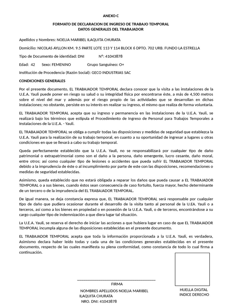 Formato ANEXO C | PDF