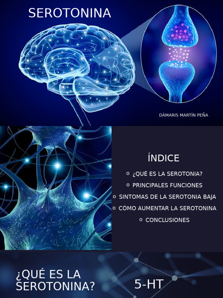 Serotonina | PDF
