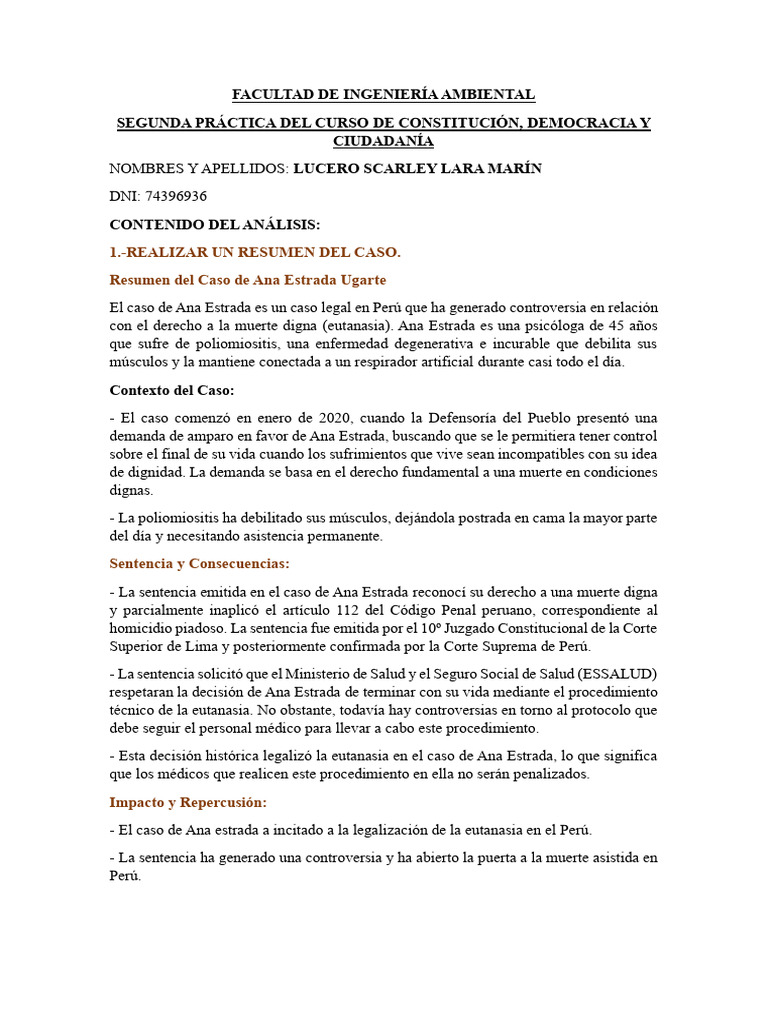 Constitución Lara Pdf