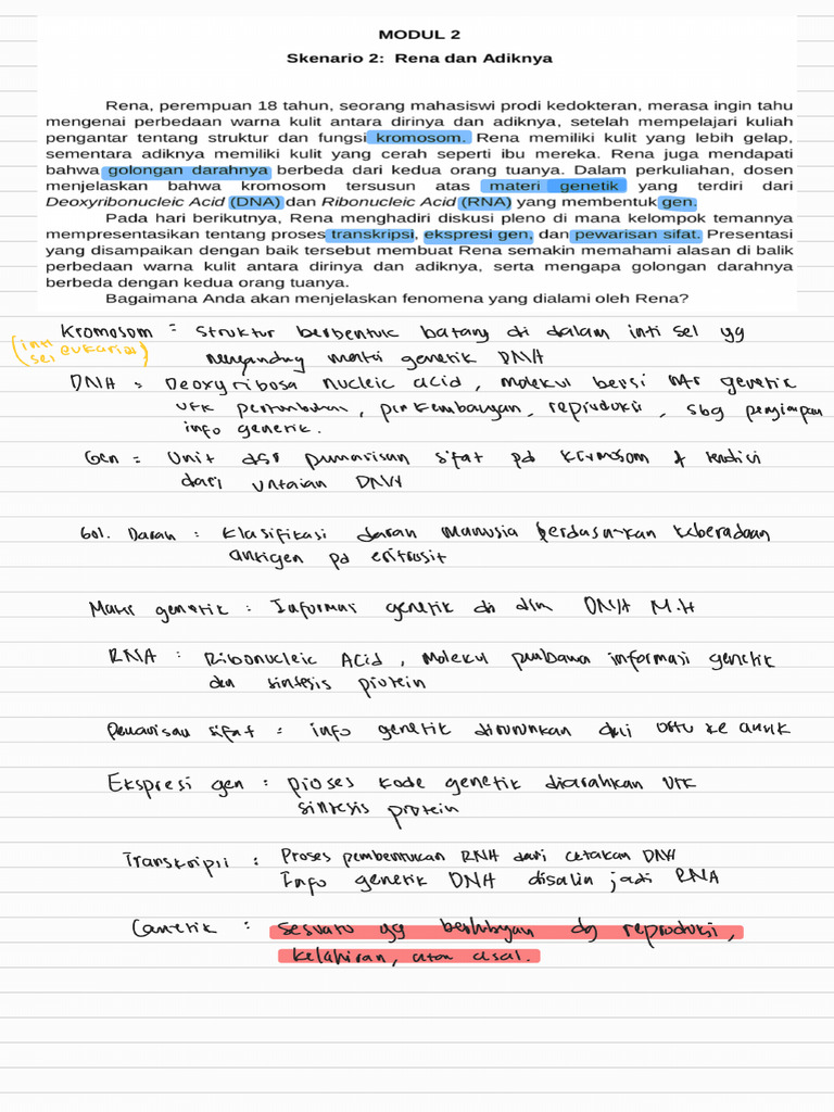 Tutorial 1 Skena 2 Pdf