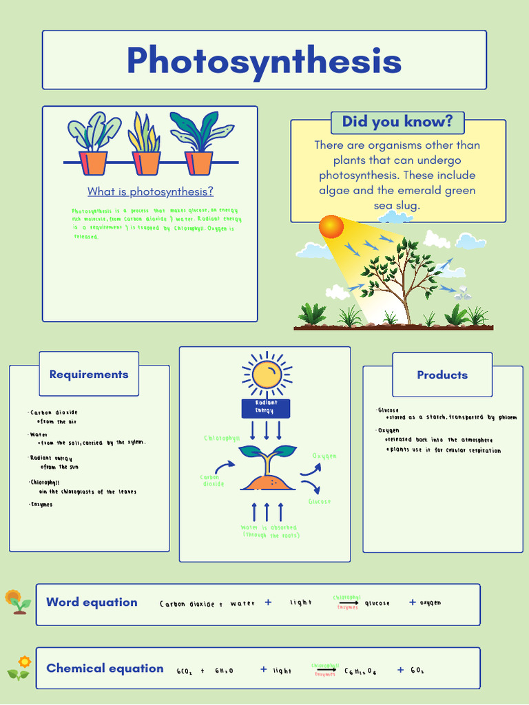 Life Sciences 1 | PDF