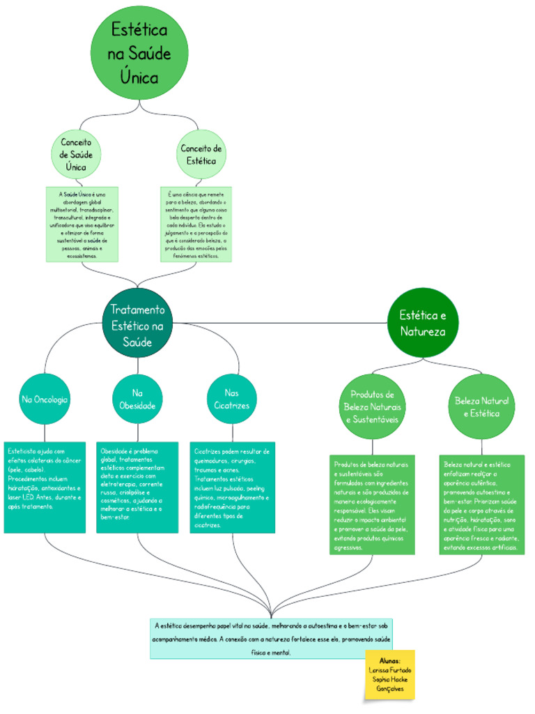 Mapa mental - Estética na Saúde Única | PDF