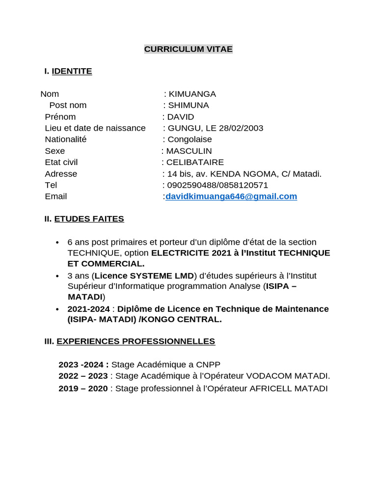 Curriculum Vitae Brown Nouveau | PDF