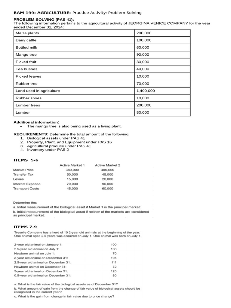 Bam 199 Pas 41 Sample Activity Answer Key | PDF