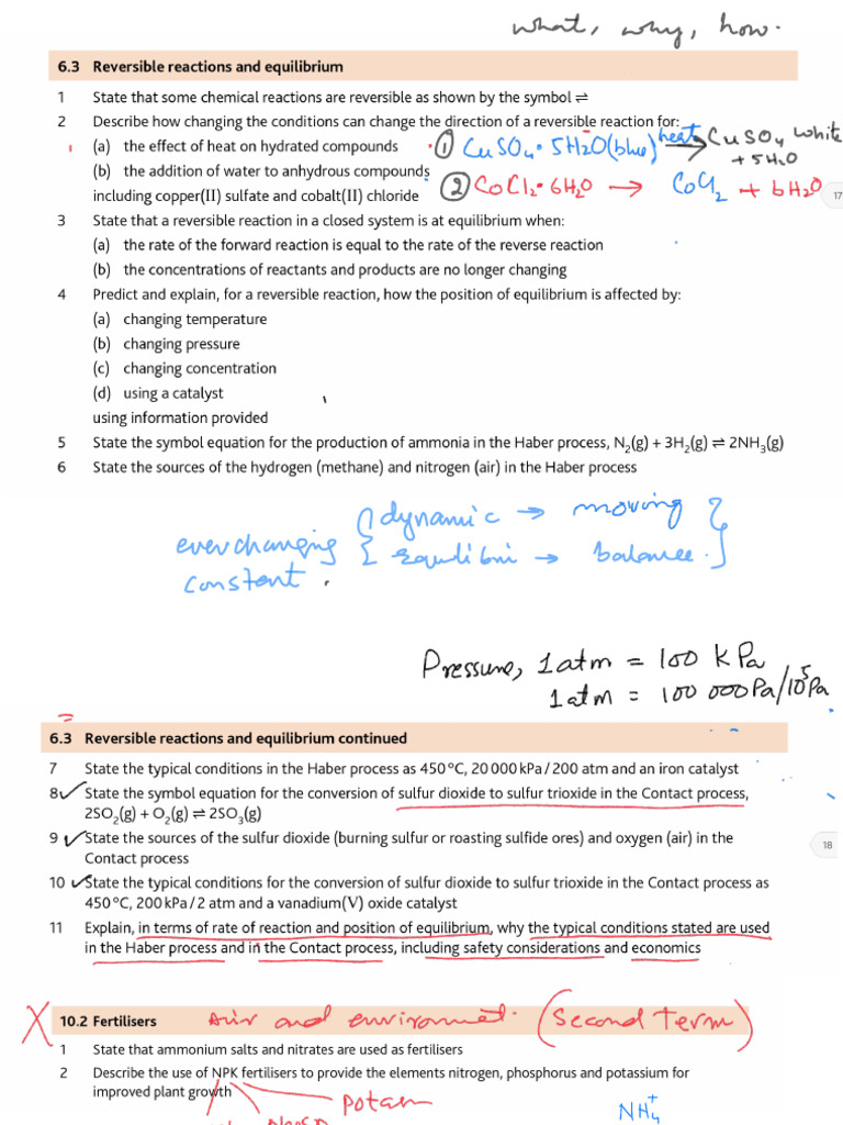 Reversible Reactions | PDF