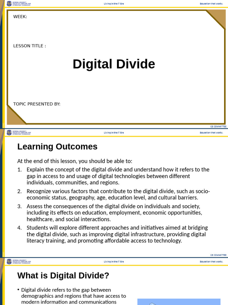 WK 4 Digital Divide | PDF