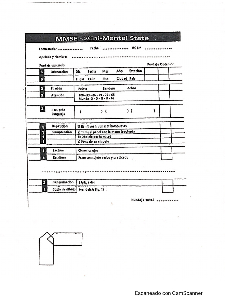 MINIMENTAL Protocolo | PDF