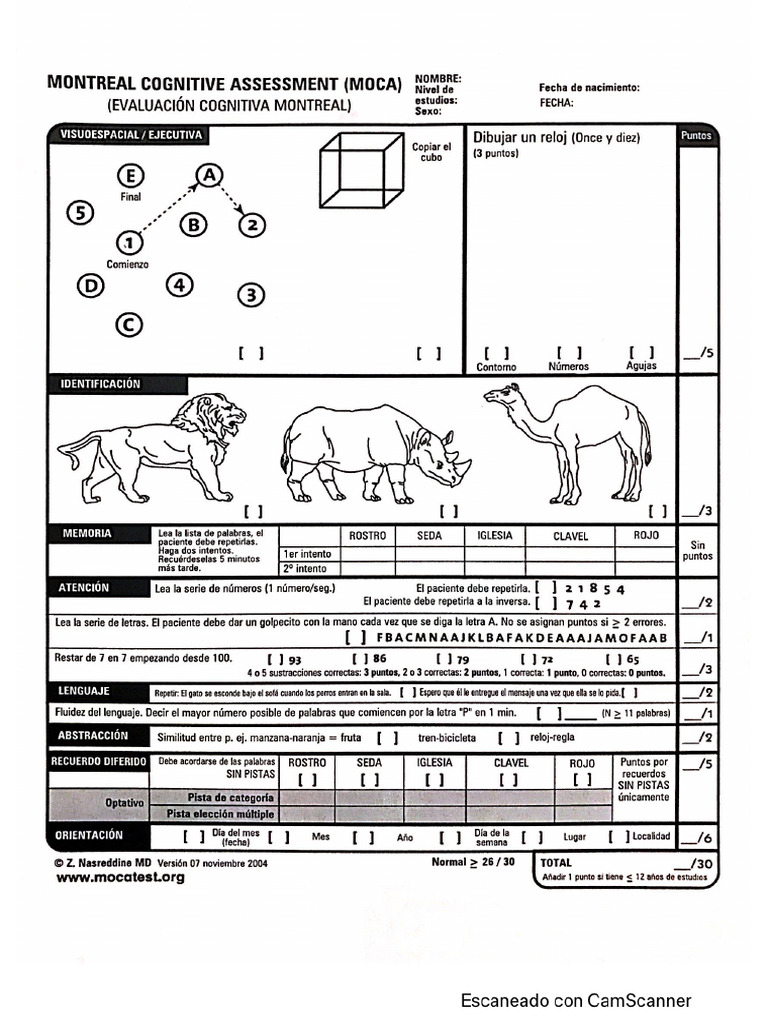 MOCA Protocolo | PDF