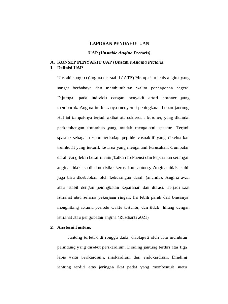 Laporan Pendahuluan UAP | PDF