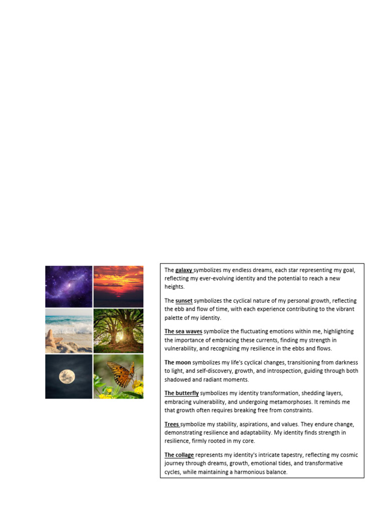 Activity 8 Material Self.... | PDF