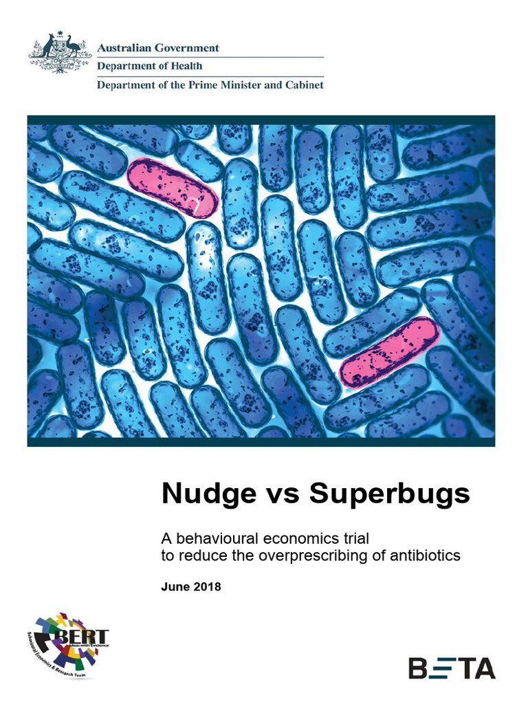 Nudge | PDF