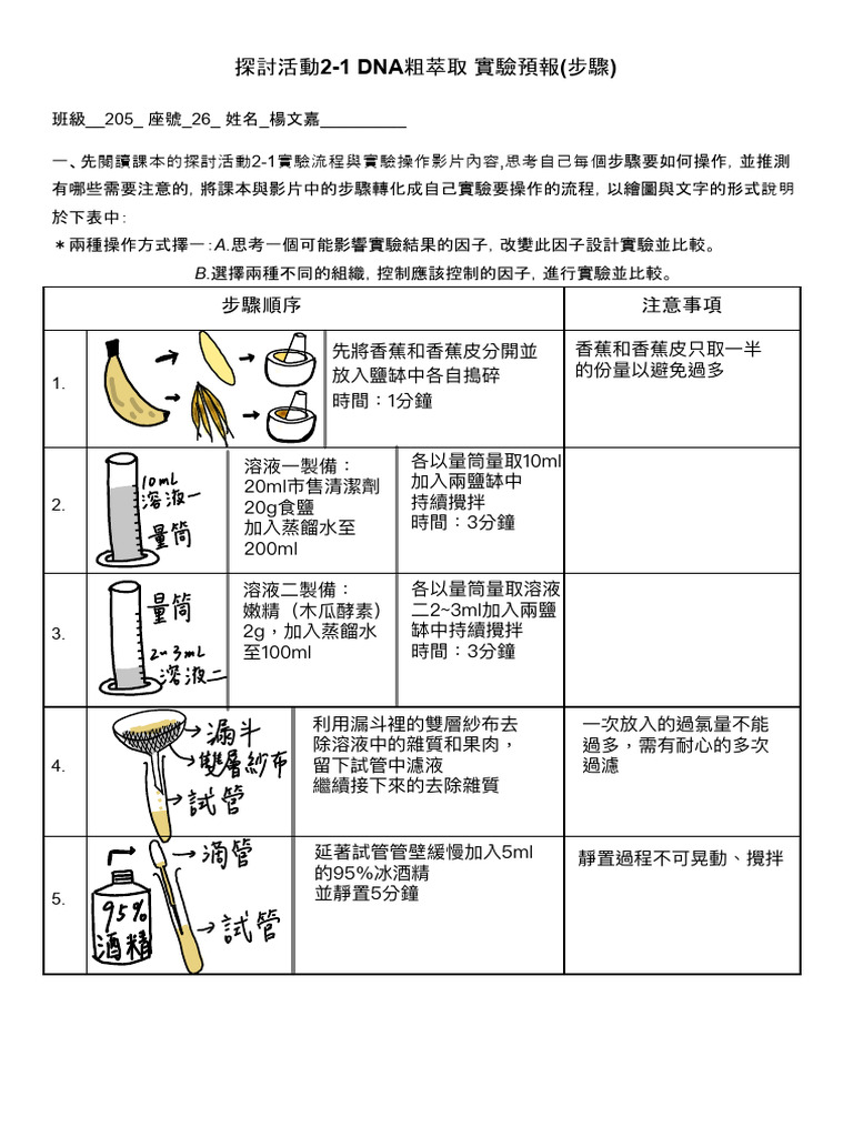 205 26 楊文嘉 - 生物實驗4DNA粗萃取預報A4 | PDF