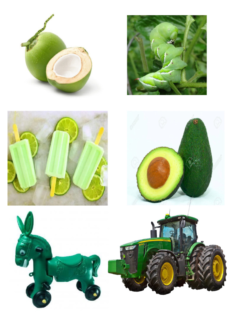 6 objetos color verde | PDF