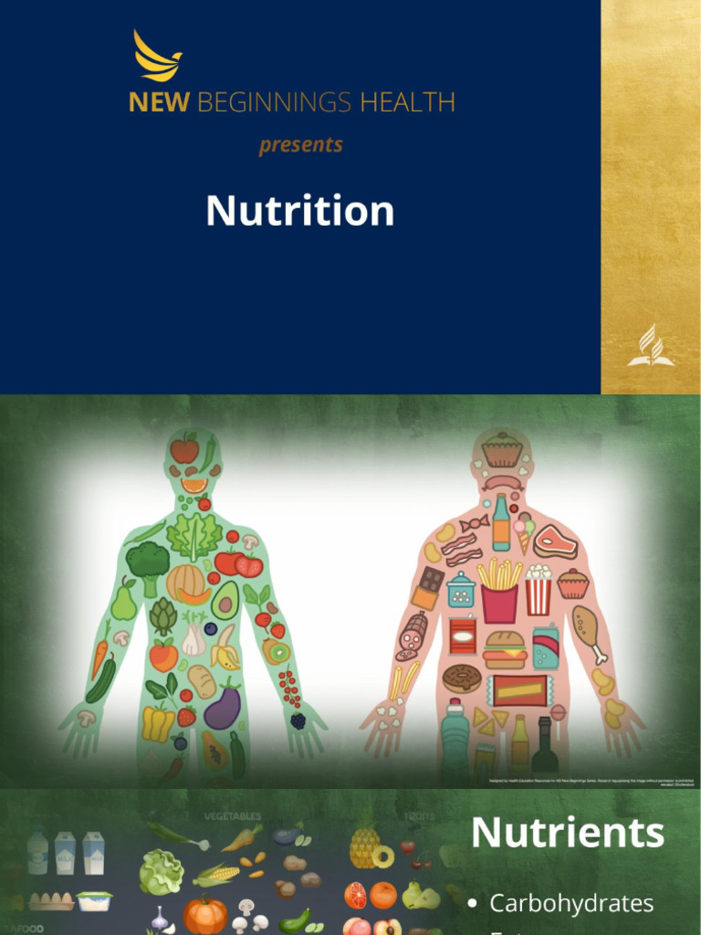 NIGHT 2 Nutrition | PDF