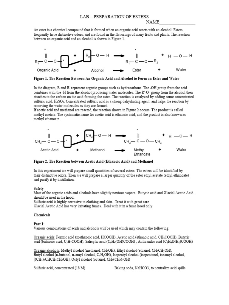 Ap Lab Preparation of Esters | PDF
