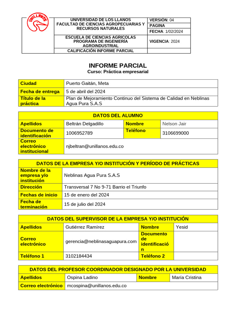 2.FORMATO INFORME PARCIAL VERSION3[1]2 | PDF