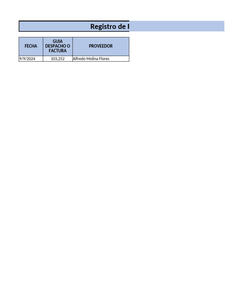 Registros Bodega | PDF