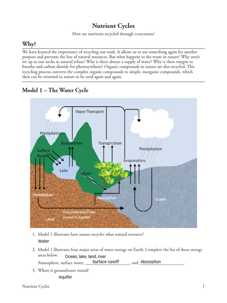 22 Nutrient Cycles-S | PDF