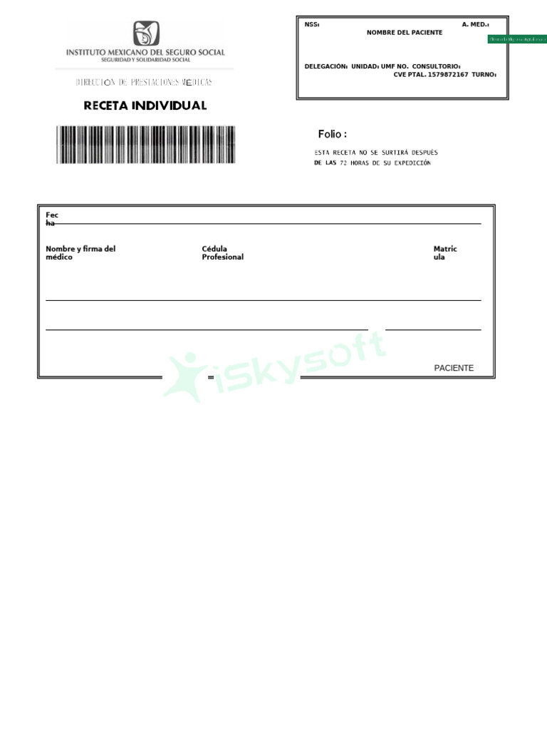 Microsoft Word Receta Imss Editable | PDF