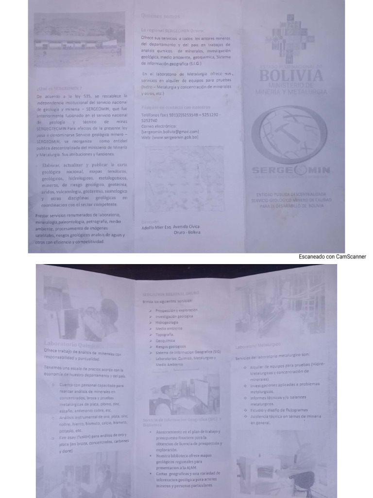 Triptico Sergeomin | PDF