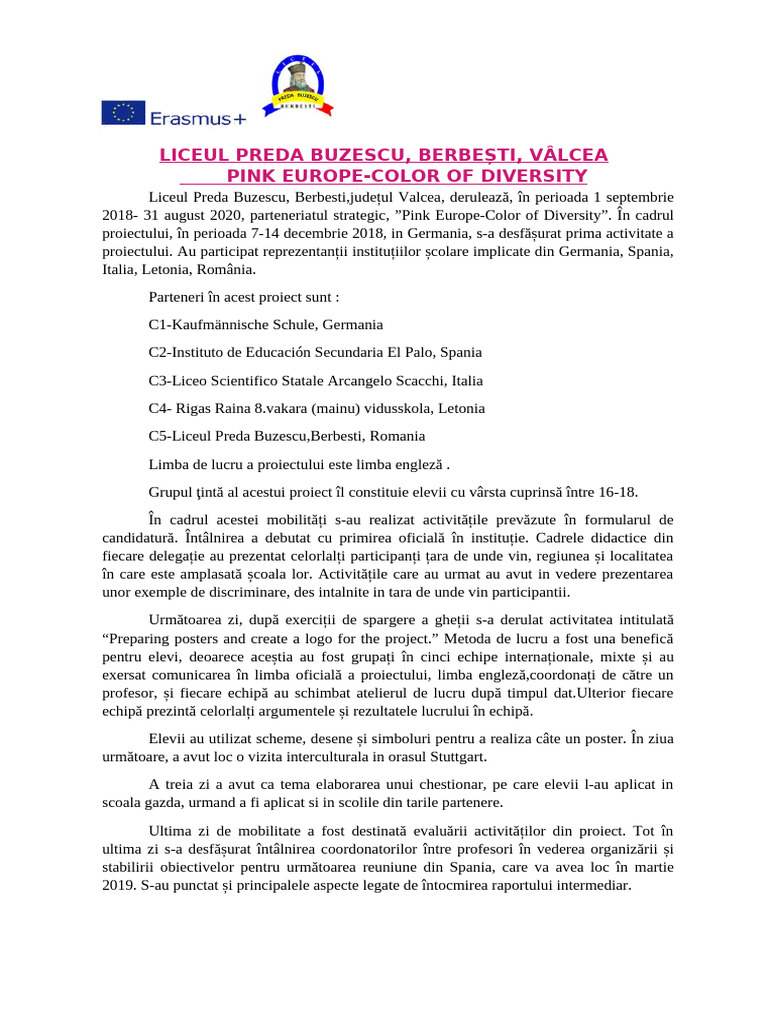 Raport Erasmus | PDF