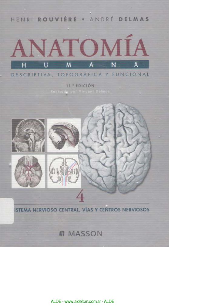 Anatomía - Rouviere IV
