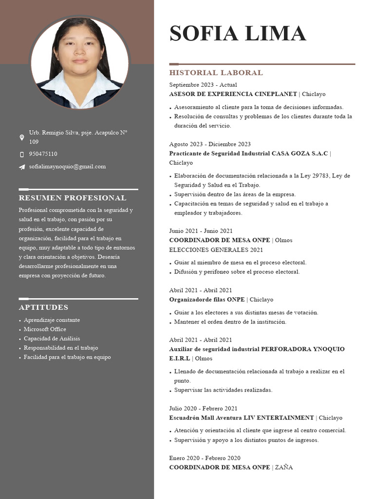 CV Sofia Lima 2024 | PDF