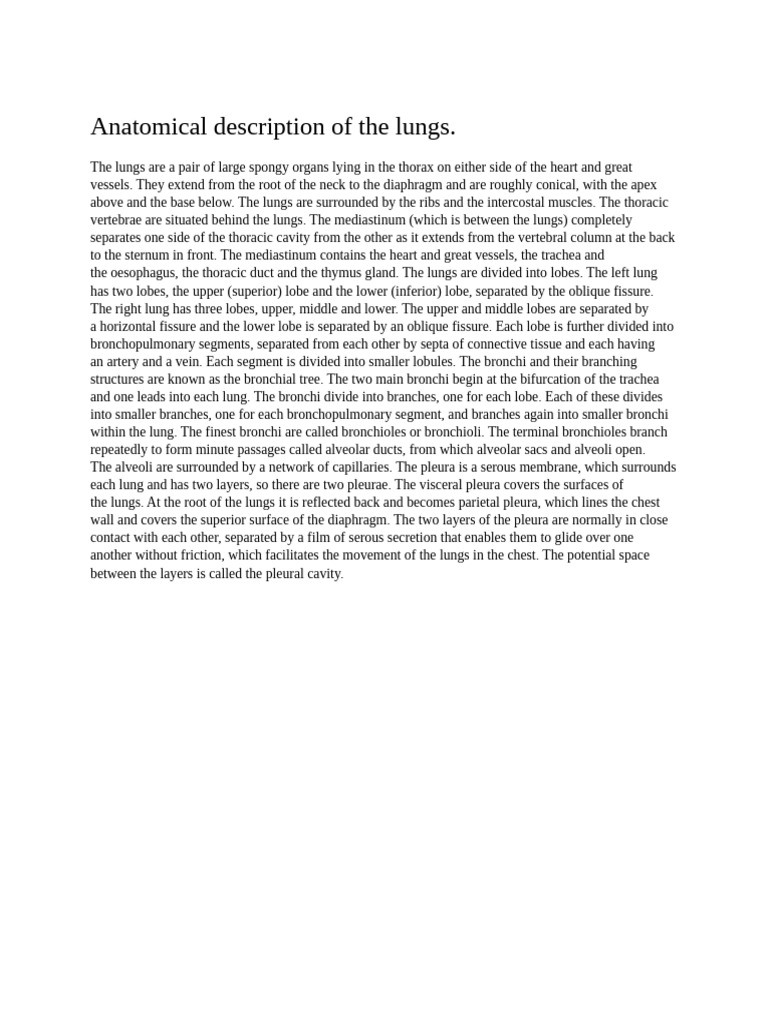 Anatomical description of the lungs | PDF