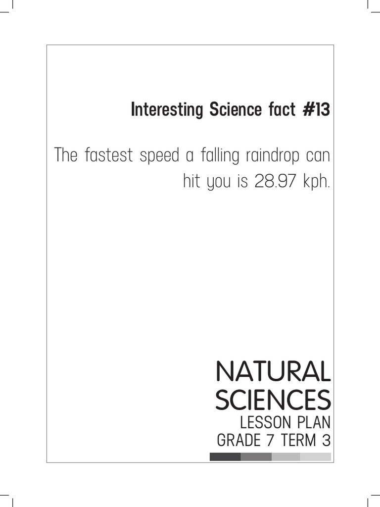 GR 7 Term 3 2019 Ns Lesson Plan | PDF