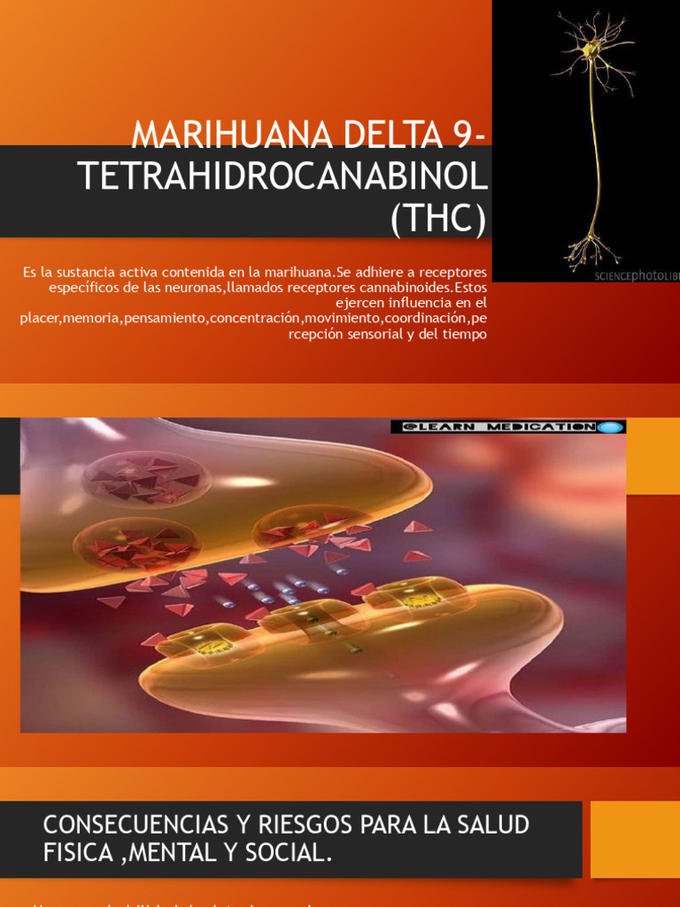 Consecuencias De Fumar Marihuana Psicoeducación Tcc Pdf