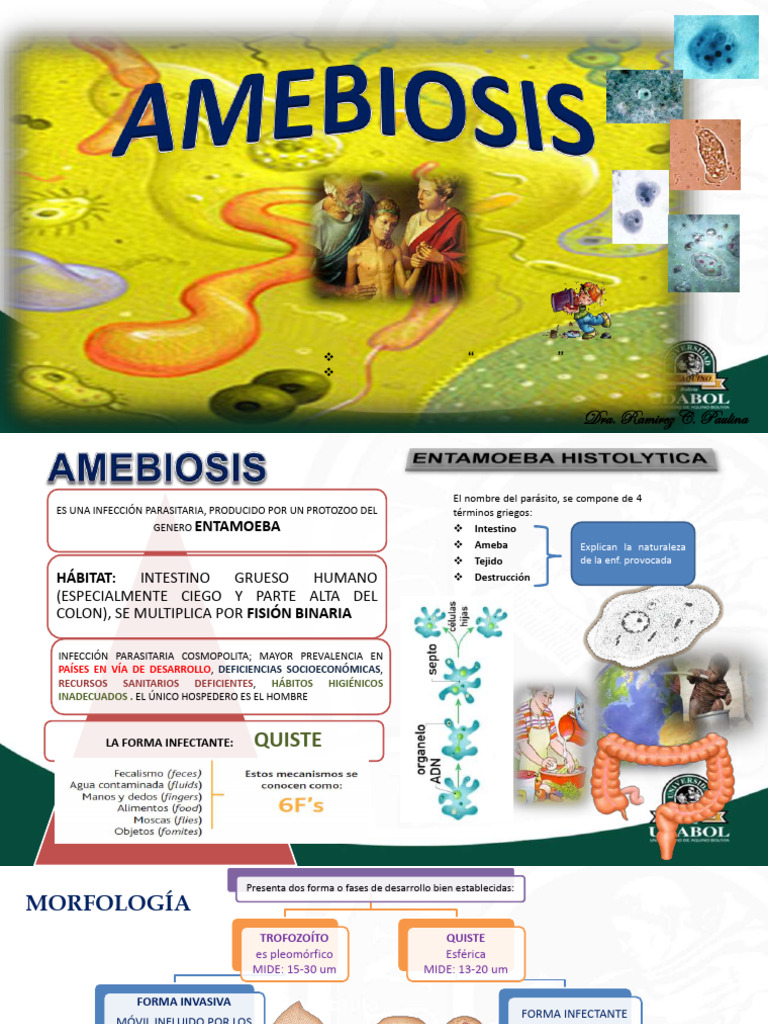 Amebiasis | PDF