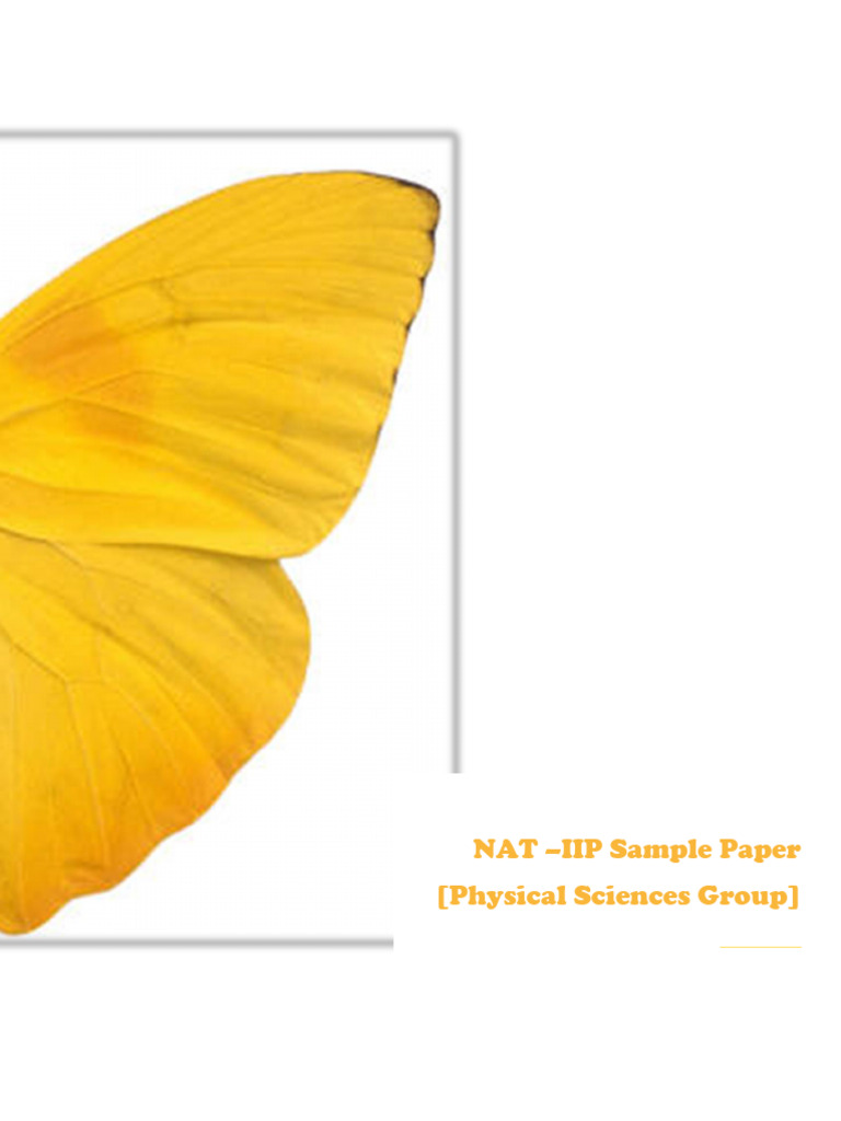 Ntsamplepaper Nat IIPP | PDF