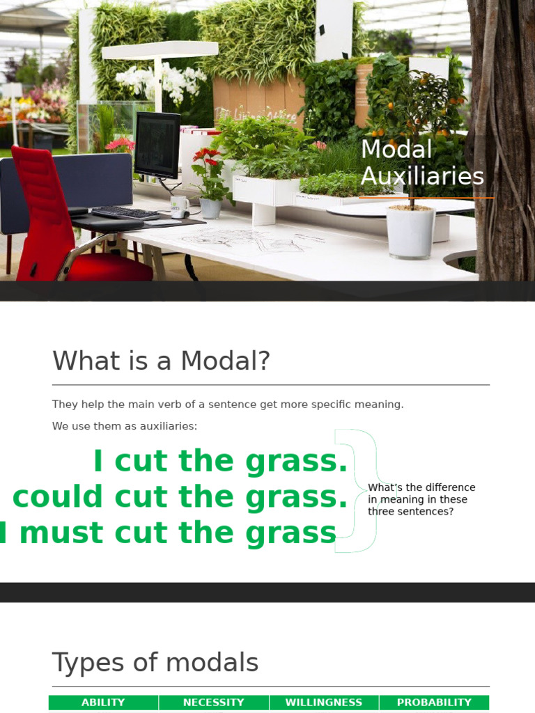 Modal Auxiliaries | PDF