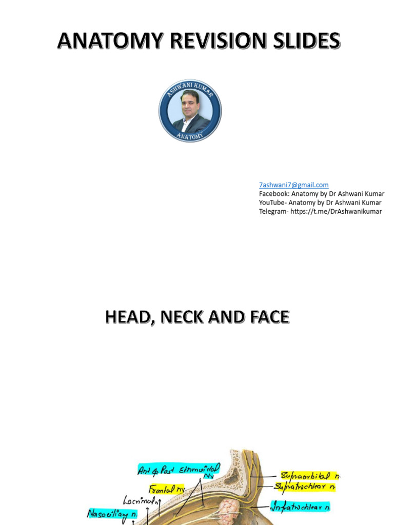 ANATOMY REVISION SLIDES - DR Ashwani Kumar | PDF