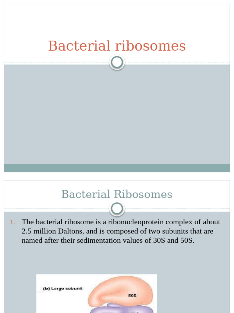 Bacterial Ribosomes | PDF