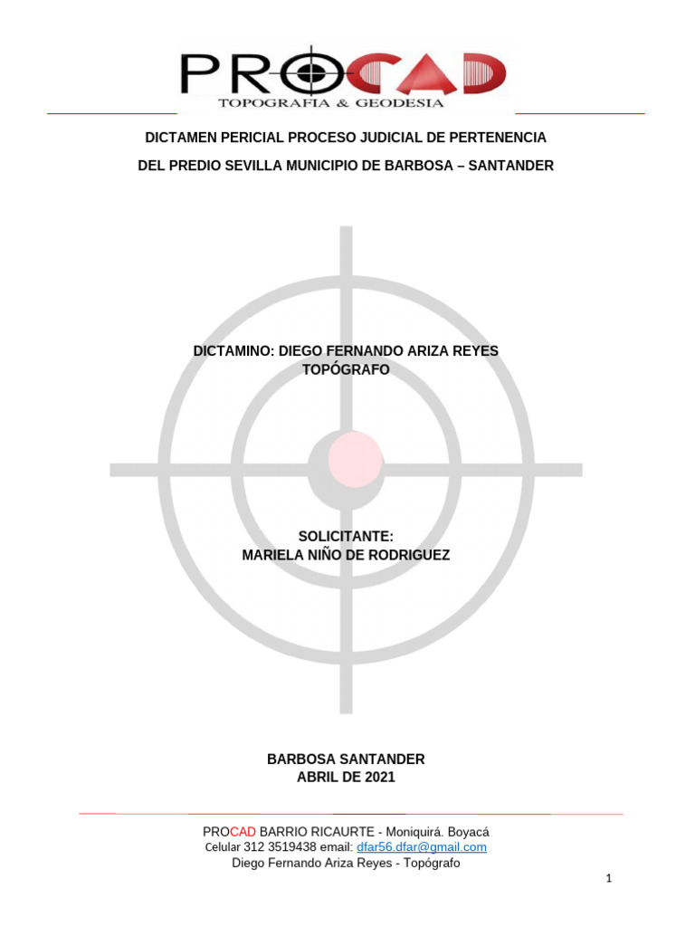Dictamen Pericial | PDF